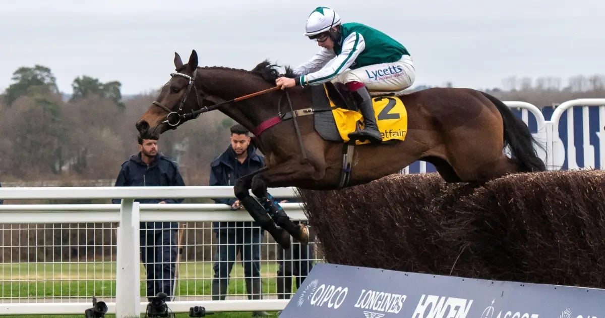 Horse Racing Tips: Tanya Stevenson's Tips For Boxing Day And Friday