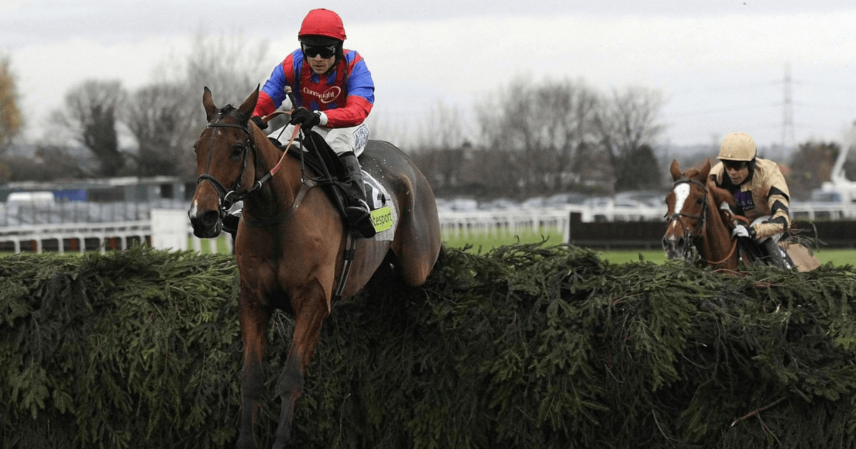 Horse Racing Tips: Tanya Stevenson's 3 Best Bets For Aintree ...