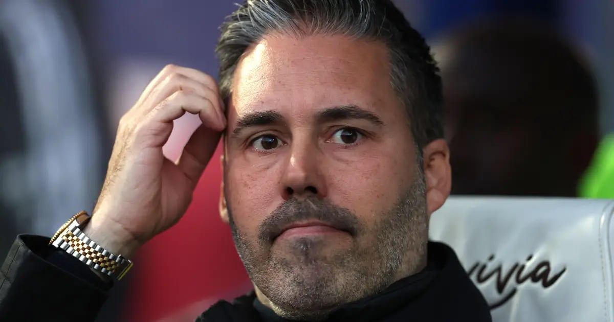 Next QPR Manager Odds: O'Neil Leads Way To Replace Cifuentes
