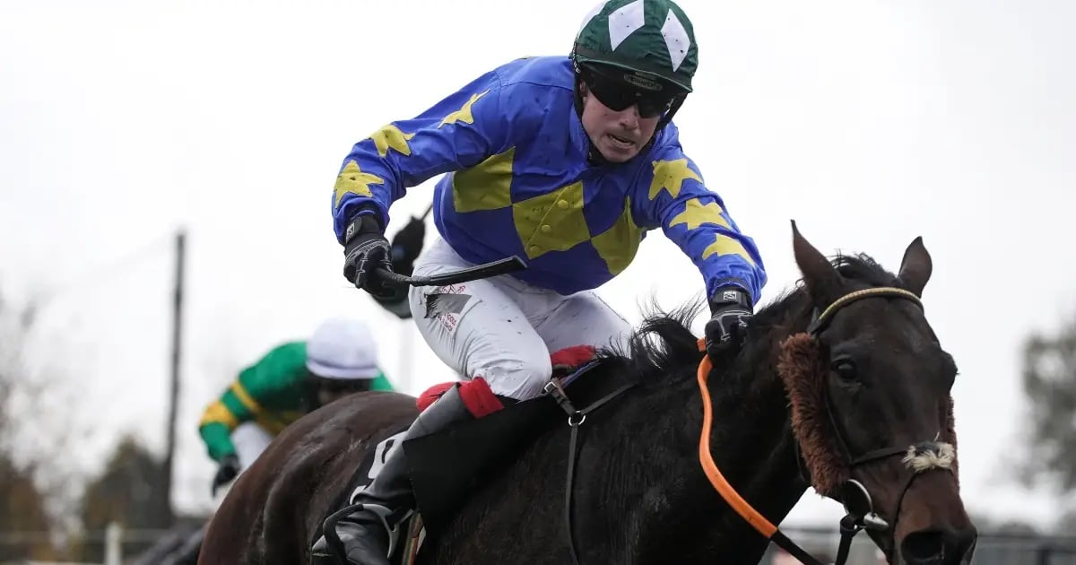 Horse Racing Tips: Tanya Stevenson's Selections For Saturday