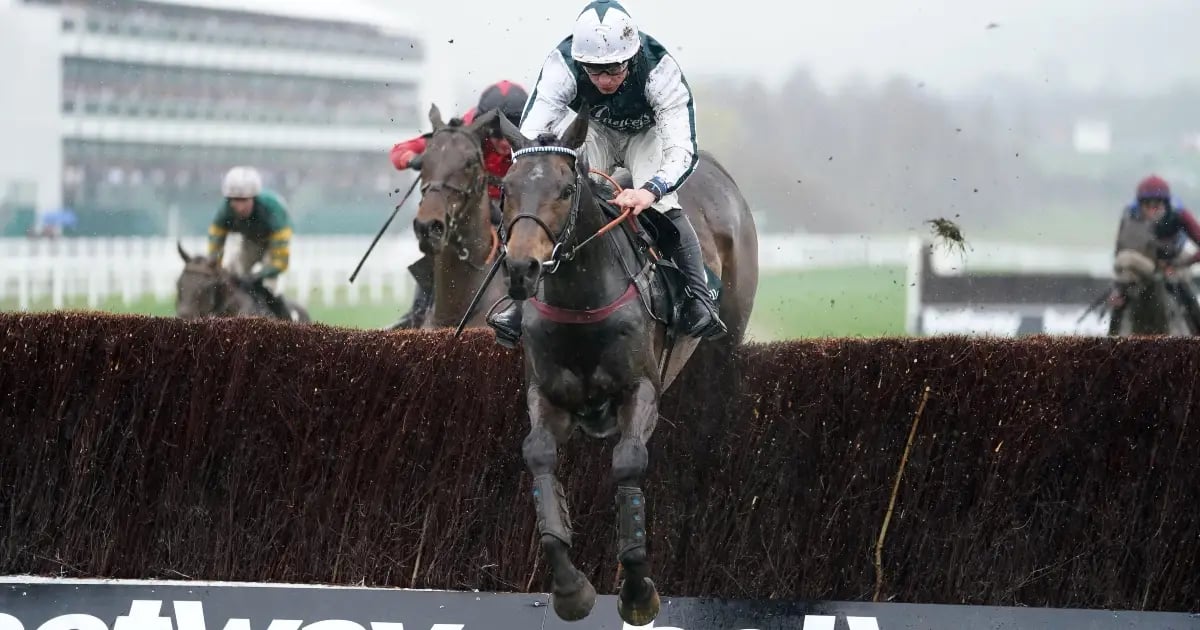 Horse Racing Tips: Tanya Stevenson's Selections For Cheltenham And ...