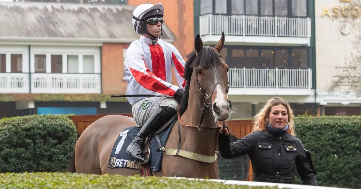 Horse Racing Tips: Tanya Stevenson's Selections For Saturday