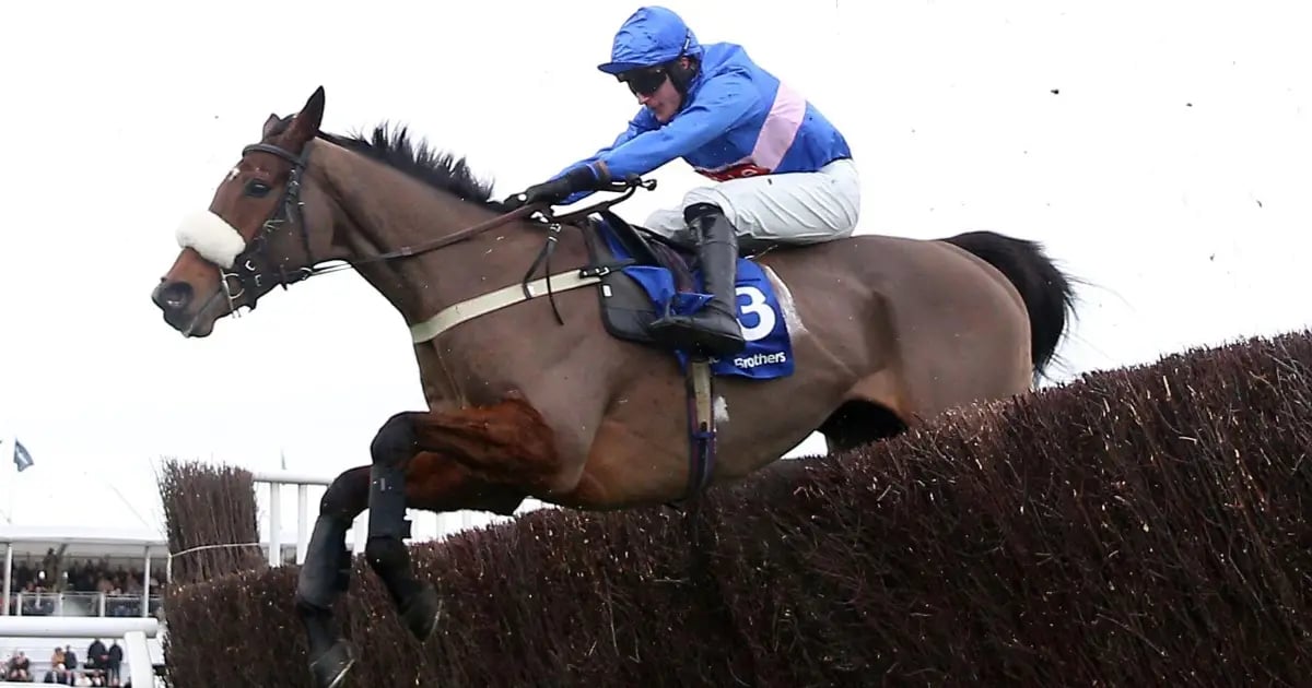 Horse Racing Tips: Tanya Stevenson's 3 Best Bets For Cheltenham ...