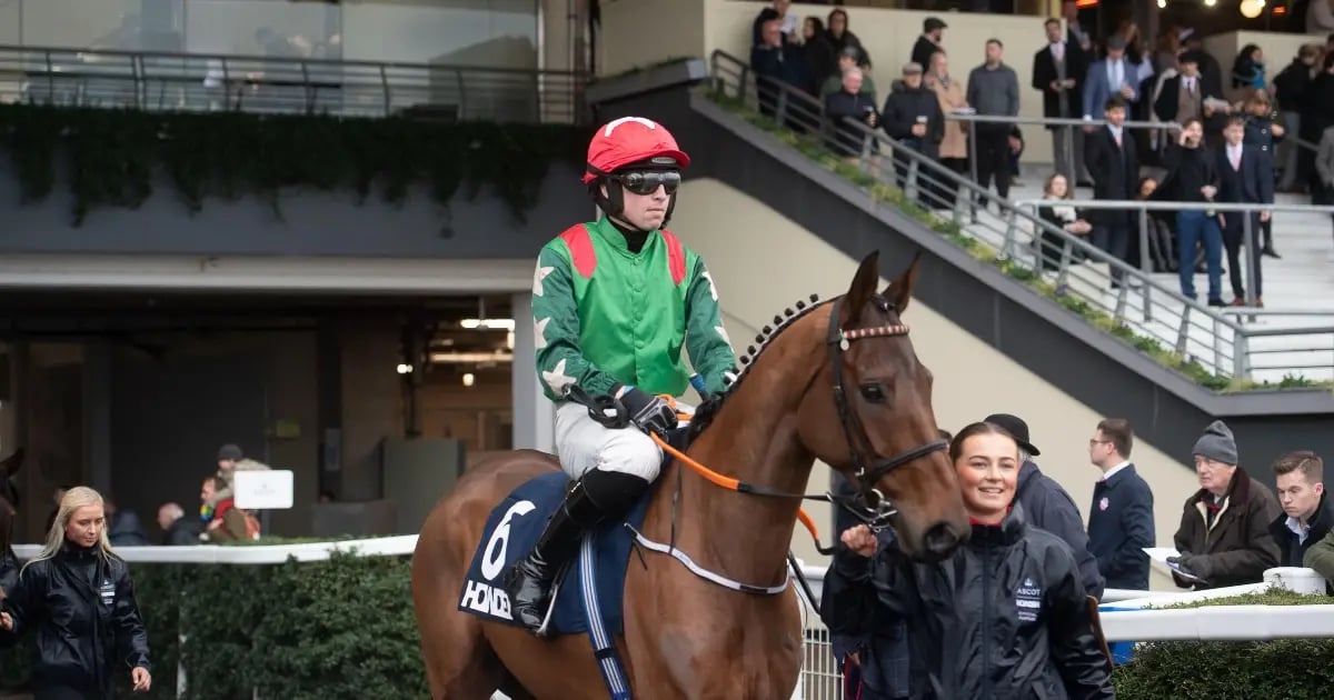 Horse Racing Tips: Tanya Stevenson's Selections For The Weekend